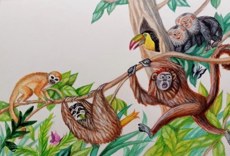 Lenochodi 2.jpg :: Olga Tesařová